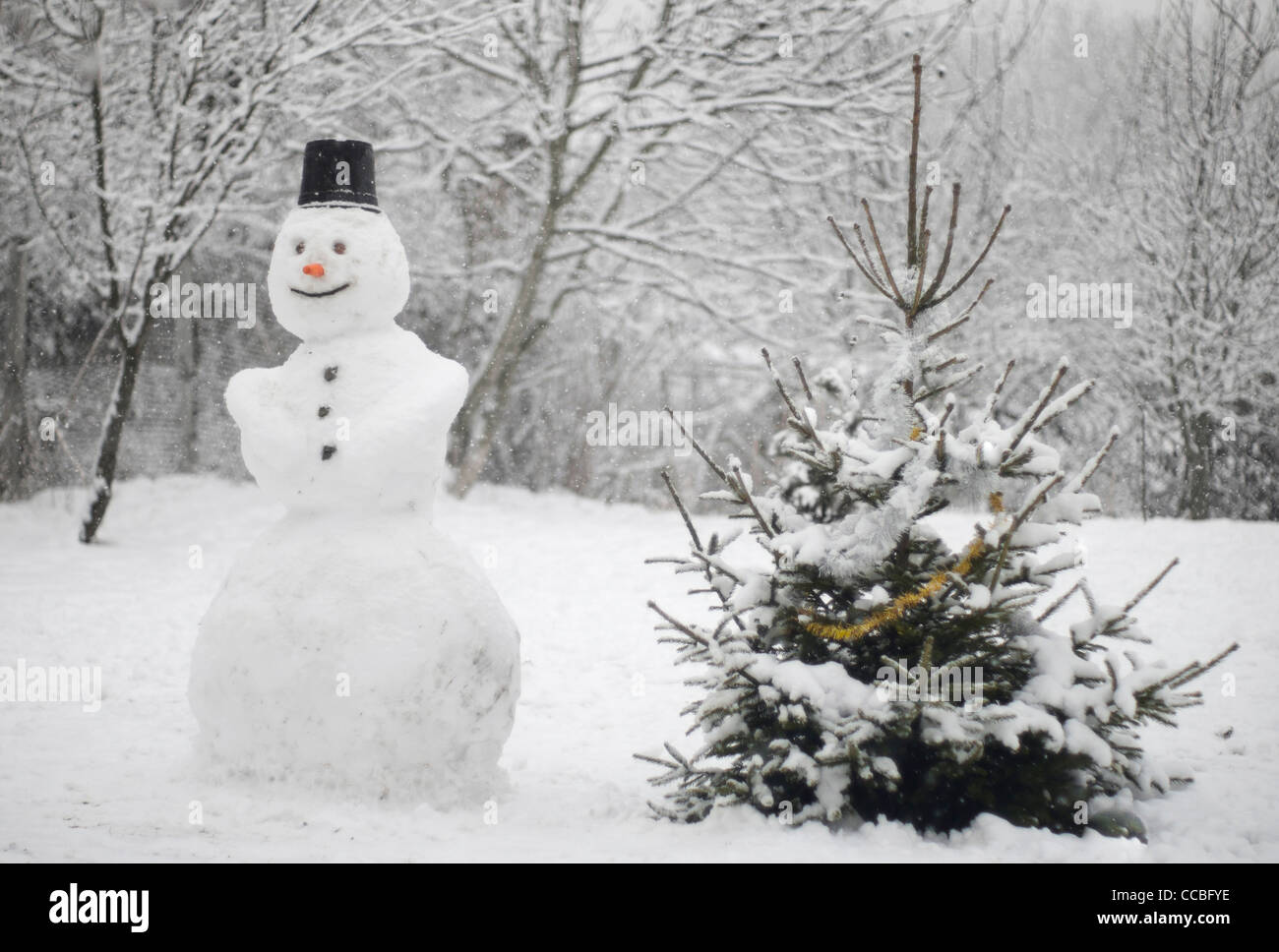 Happy snowman next to a christmas tree enjoying the falling snow Stock ...
