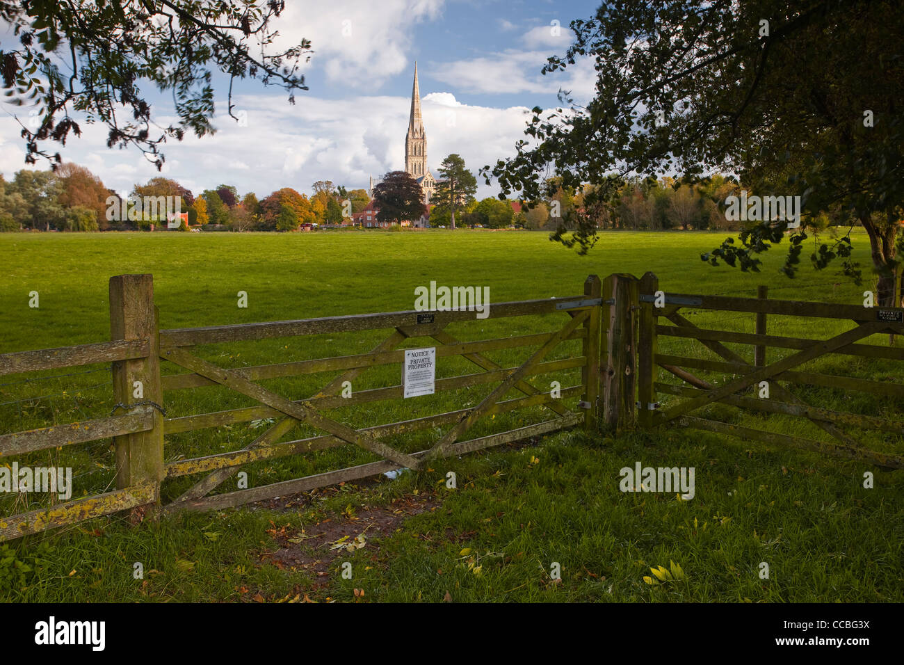 Salisbury water meadows hi-res stock photography and images - Alamy
