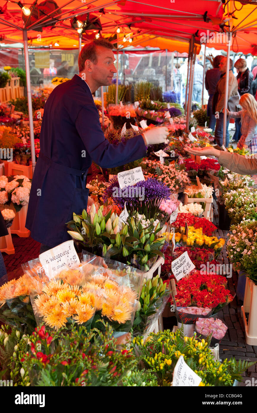 Haarlem netherlands flower hi-res stock photography and images - Alamy