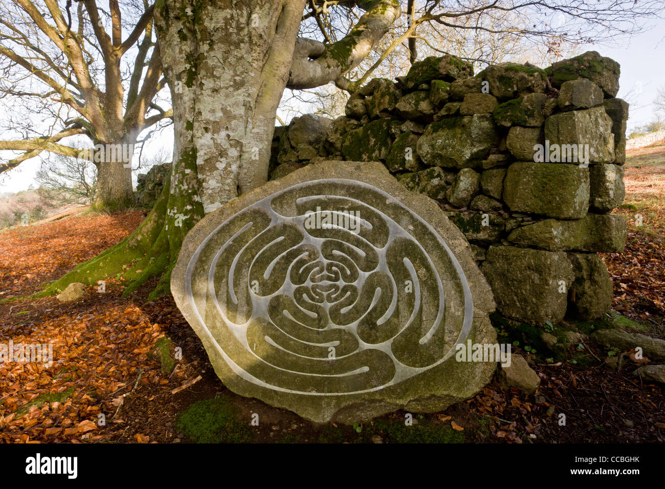 Celtic-style stonework in Whiddon, or Whyddon Deer Park. 16th century ...