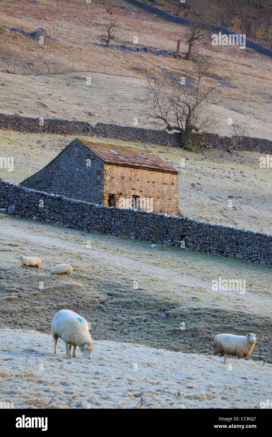 Classic winter landscape in the Yorkshire Dales of England Stock Photo ...
