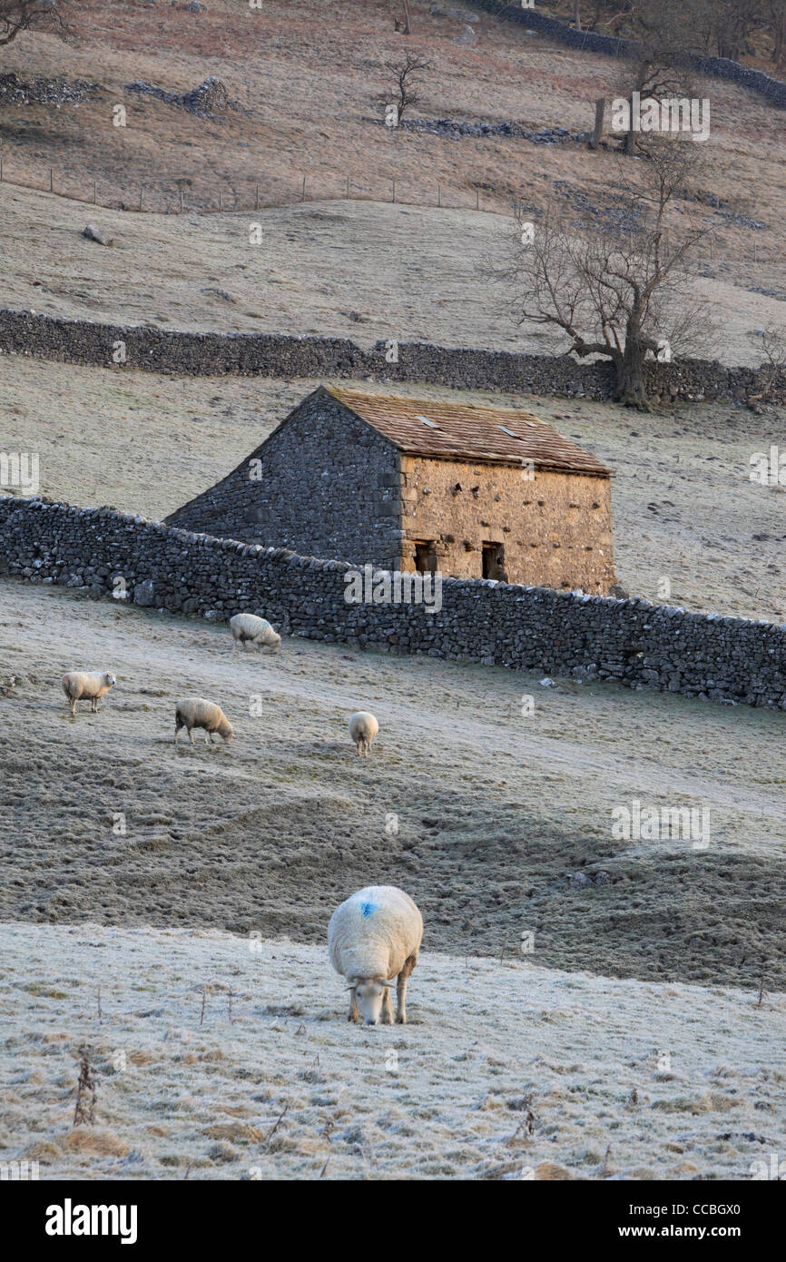 Classic winter landscape in the Yorkshire Dales of England Stock Photo ...