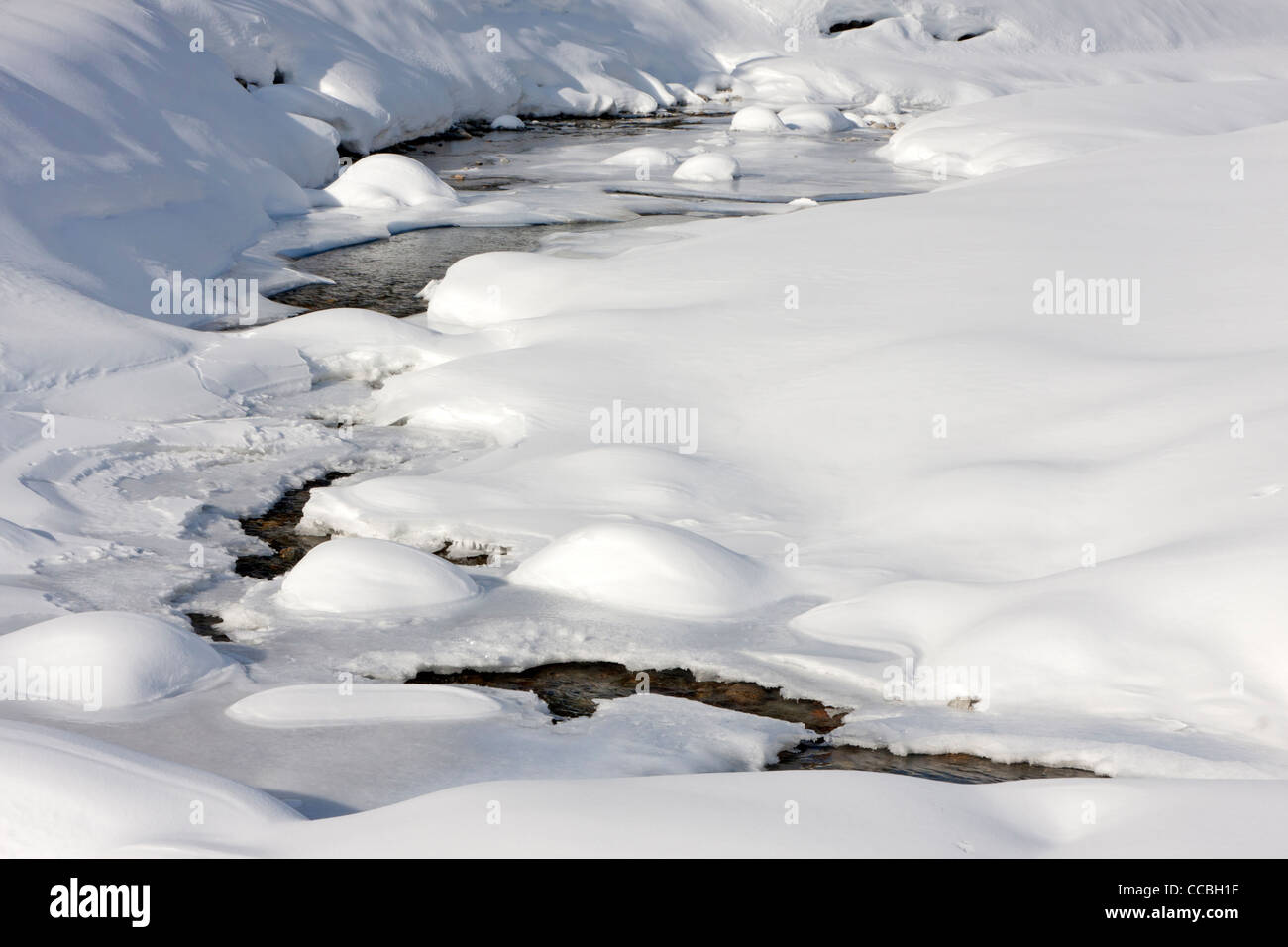Nature stream in winter Stock Photo - Alamy