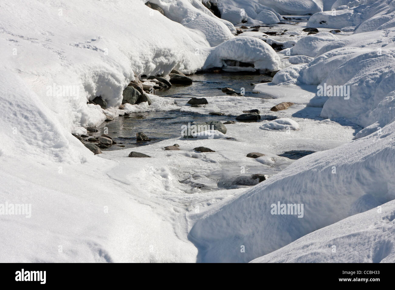 Nature stream in winter Stock Photo - Alamy