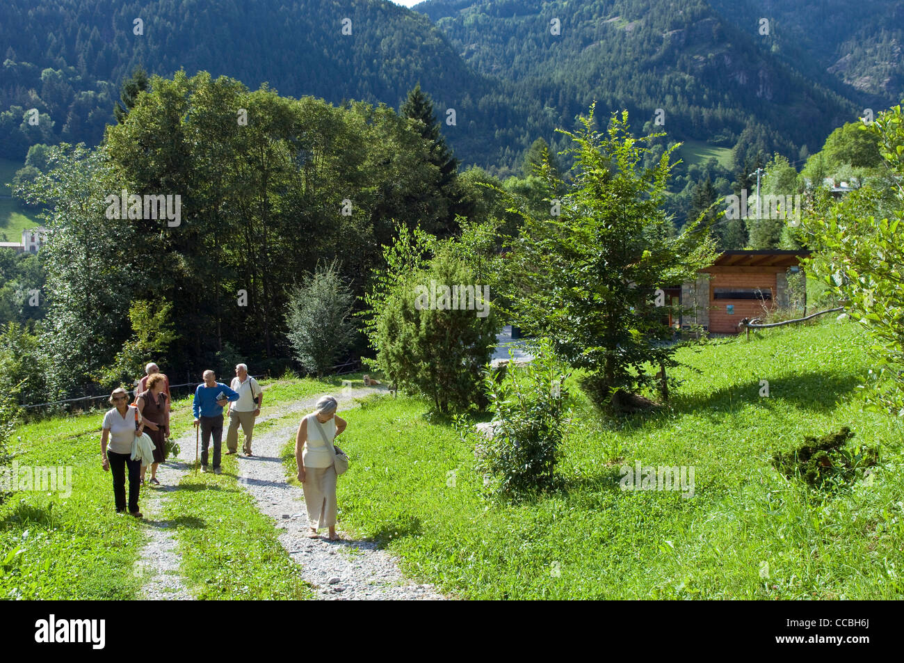 gleno alpine arboretum, vilminore di scalve, italy Stock Photo - Alamy