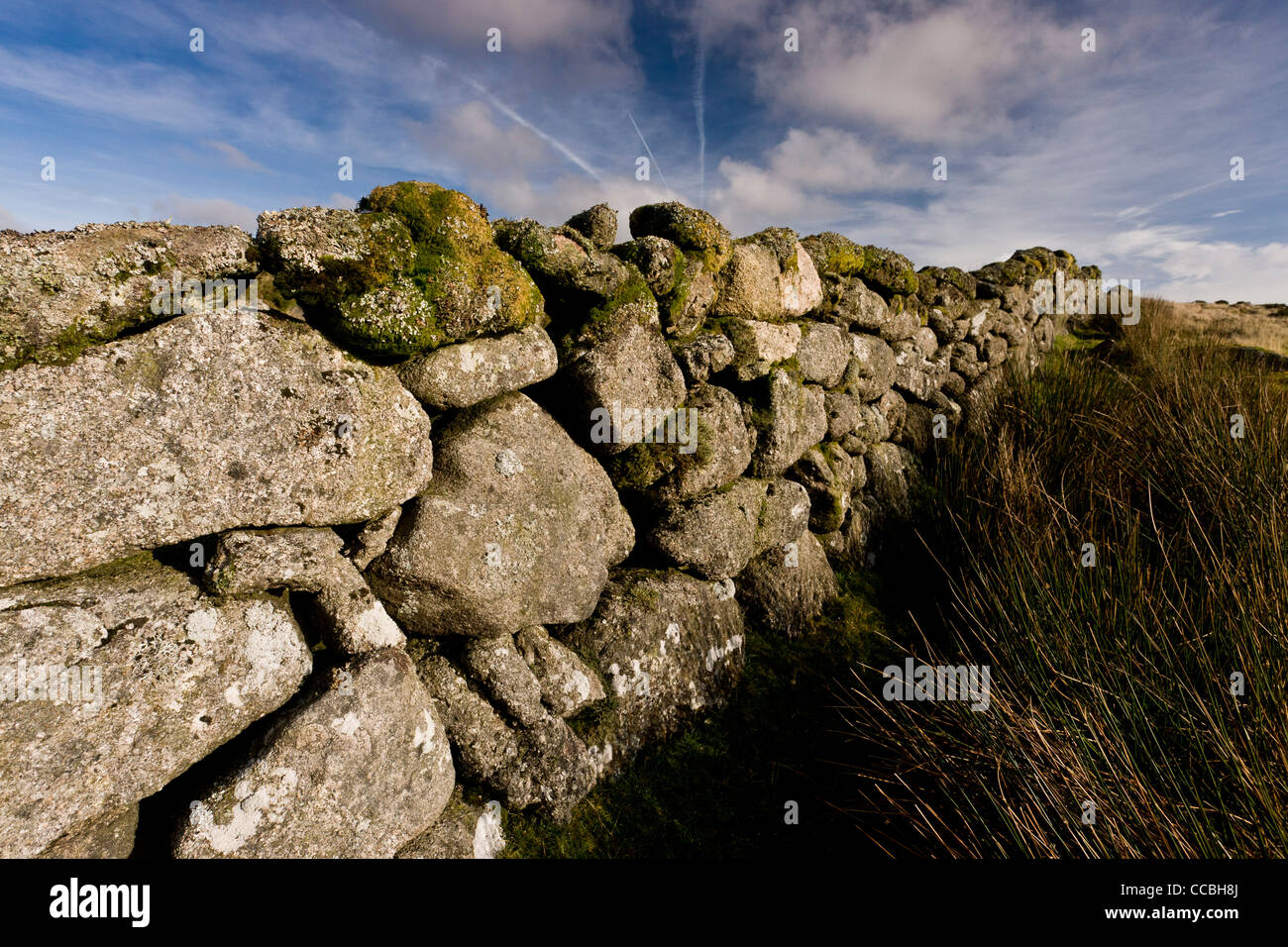 Old granite wall on moorland, West Dart Valley, Dartmoor, Devon Stock ...