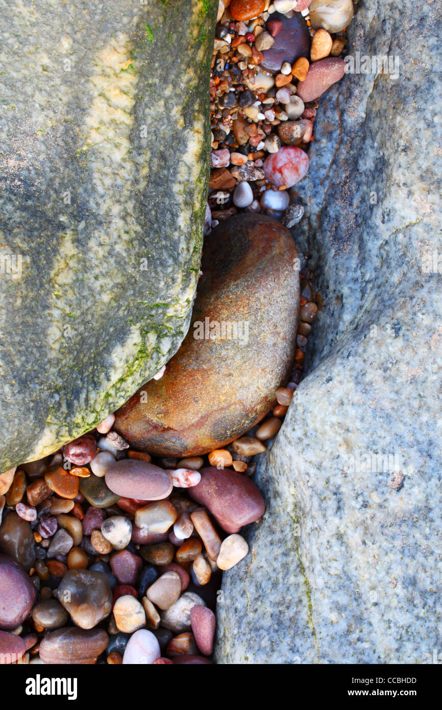 Abstract natural designs hi-res stock photography and images - Alamy