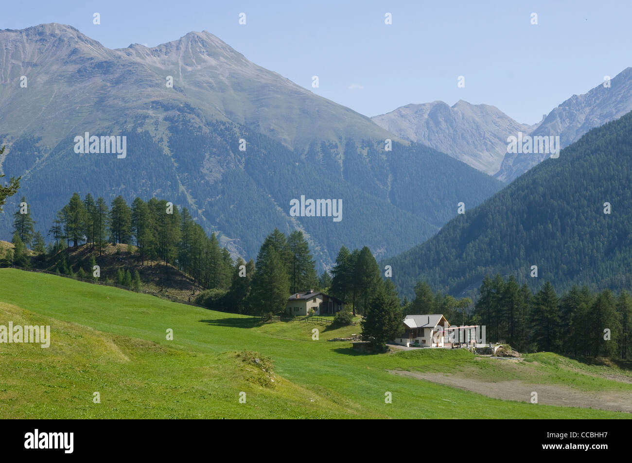 Brail hi-res stock photography and images - Alamy