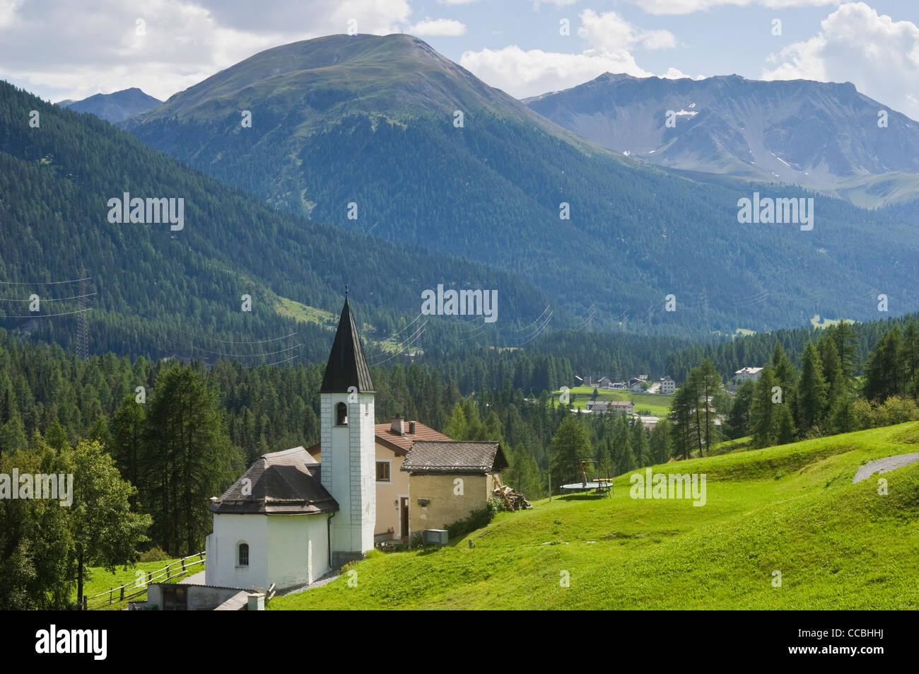Brail hi-res stock photography and images - Alamy