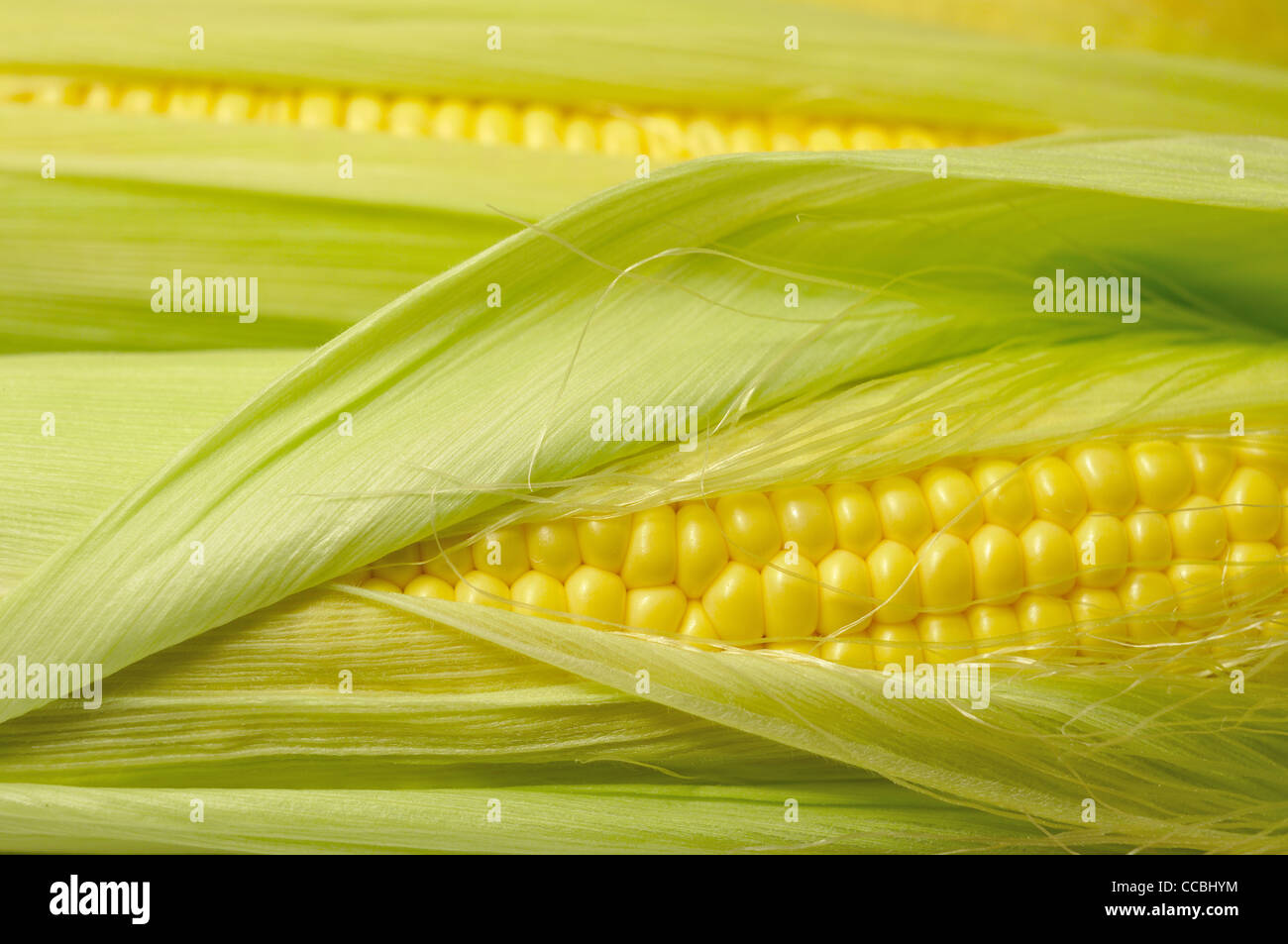 soft light fresh raw corn background Stock Photo - Alamy