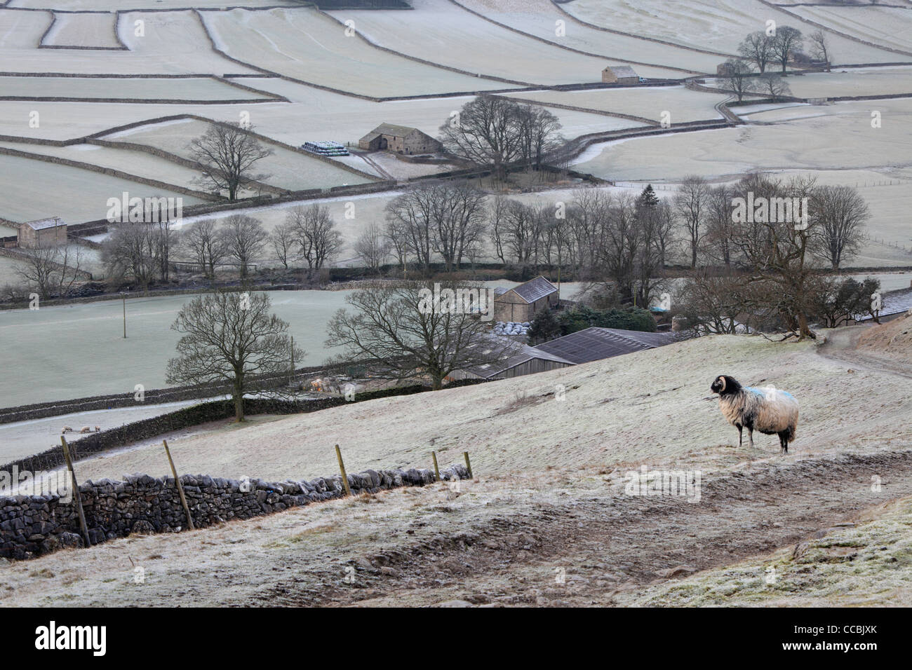Classic winter landscape in the Yorkshire Dales of England Stock Photo ...