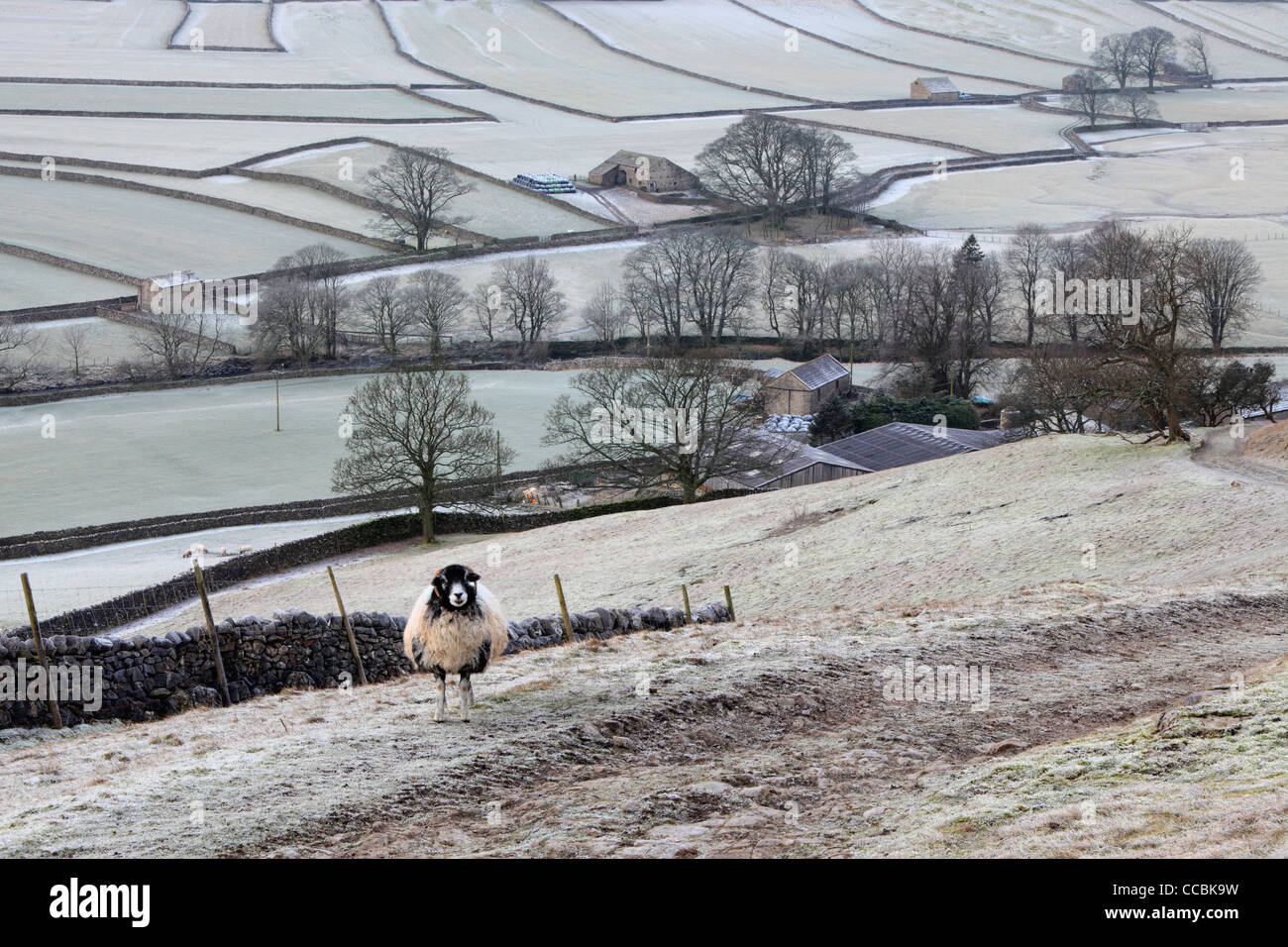 Classic winter landscape in the Yorkshire Dales of England Stock Photo ...