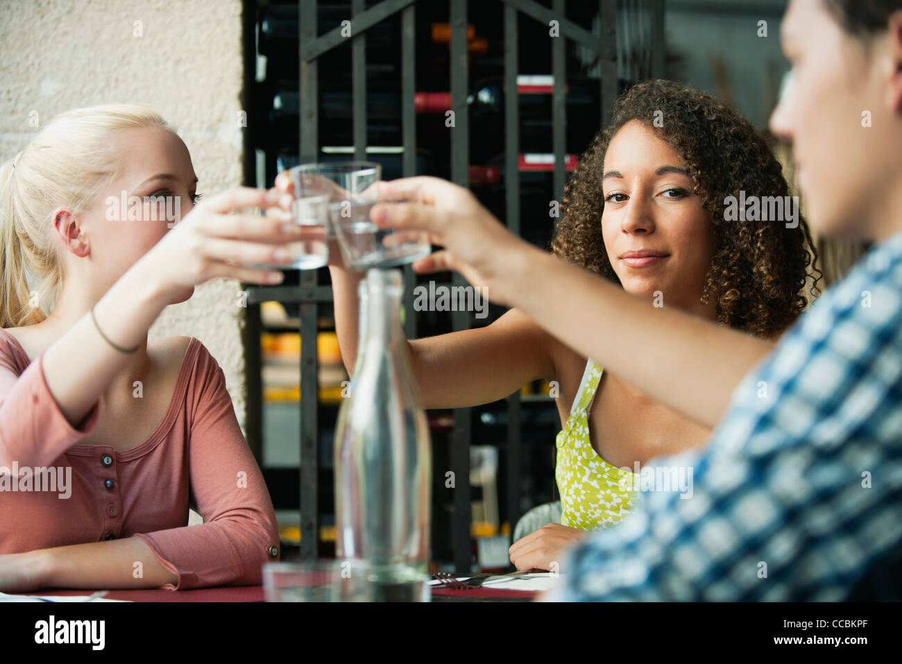 Woman raising glass with friends Stock Photo - Alamy