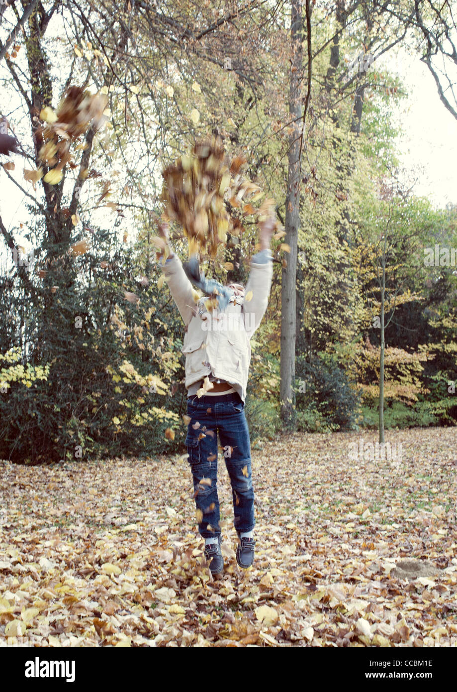 Boy jumping to reach tree branches with autumn leaves, blurred motion ...