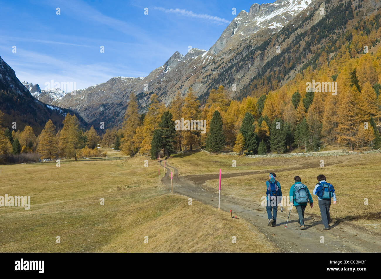 mountaineers in bever valley, bever, switzerland Stock Photo - Alamy