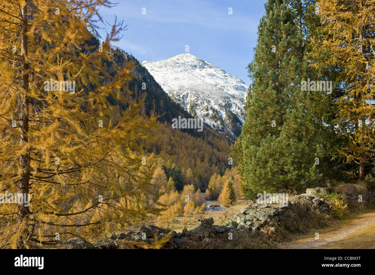valley view, bever, switzerland Stock Photo - Alamy