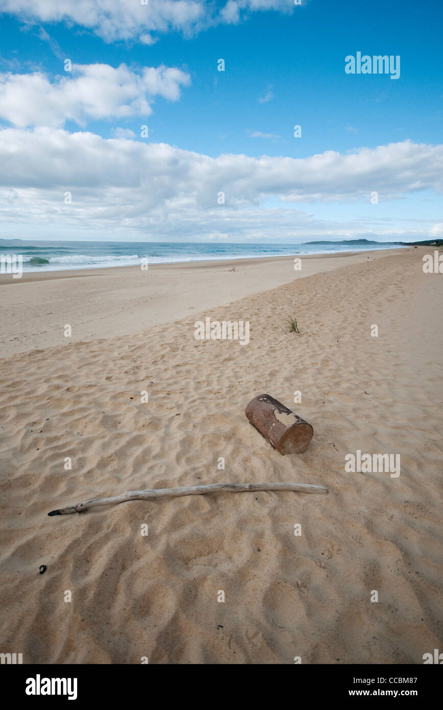 Driftwood At Beach High Resolution Stock Photography and Images - Alamy