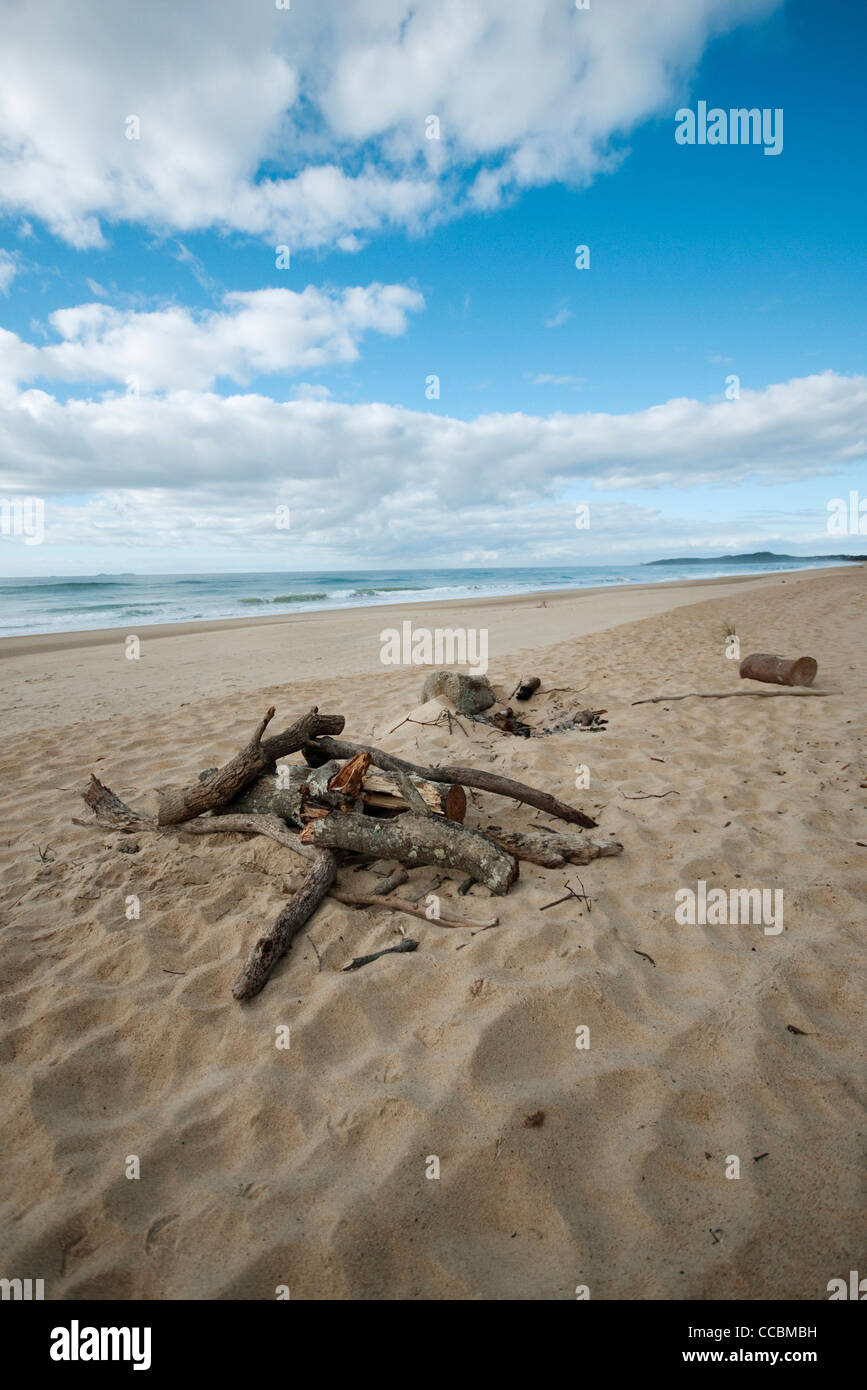 Driftwood on beach Stock Photo - Alamy