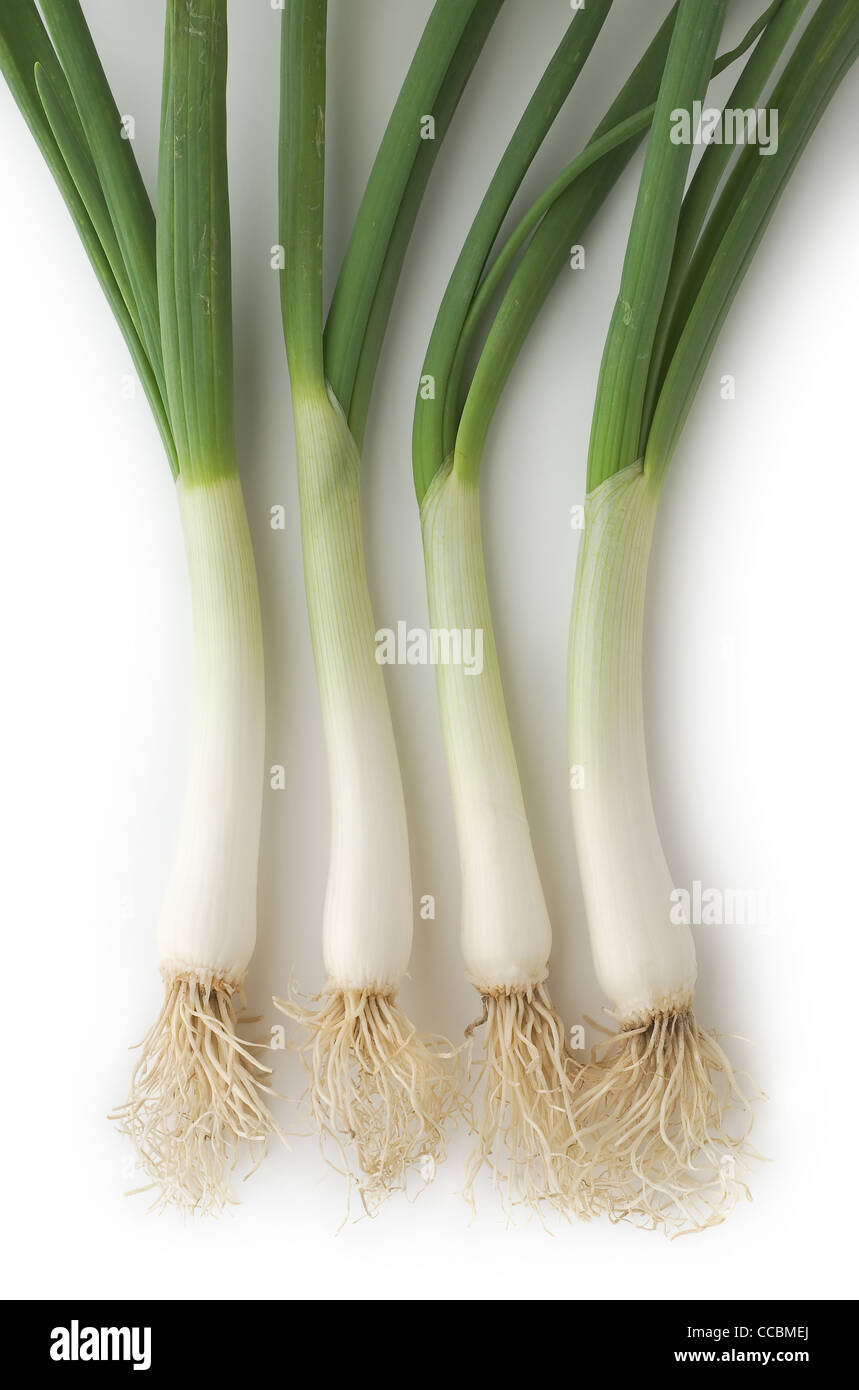 Spring Onions as a Healthy and Nutritious Dietary Supplement Stock ...