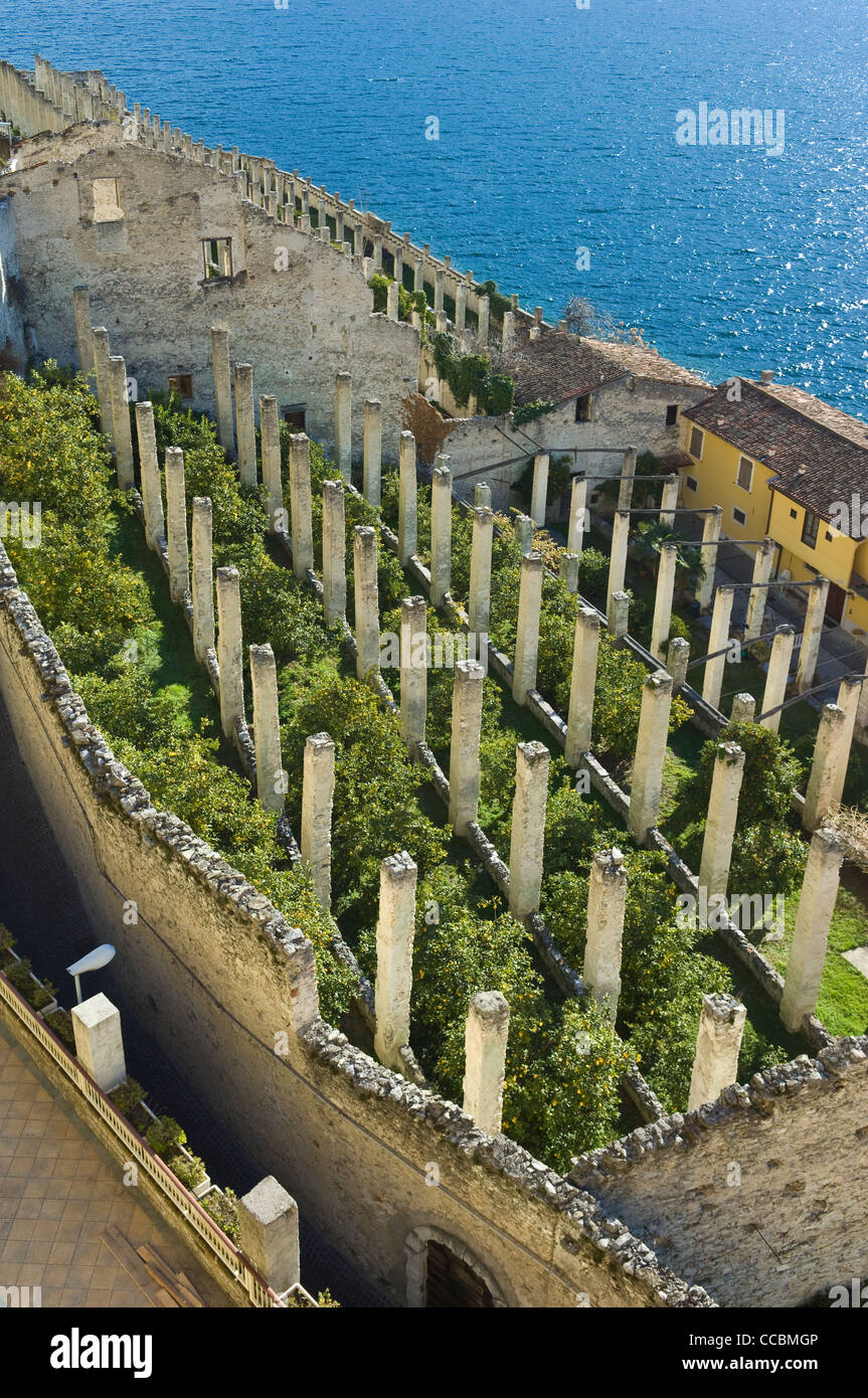 lemon house, limone sul garda, italy Stock Photo - Alamy