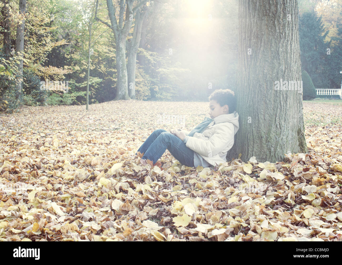 Boy sitting under tree in hi-res stock photography and images - Alamy