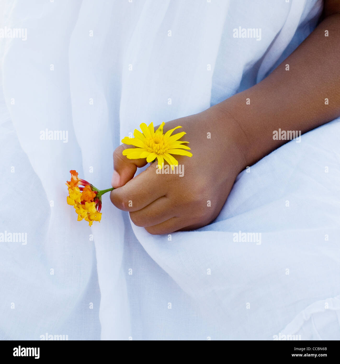 Child's hand holding flowers Stock Photo - Alamy