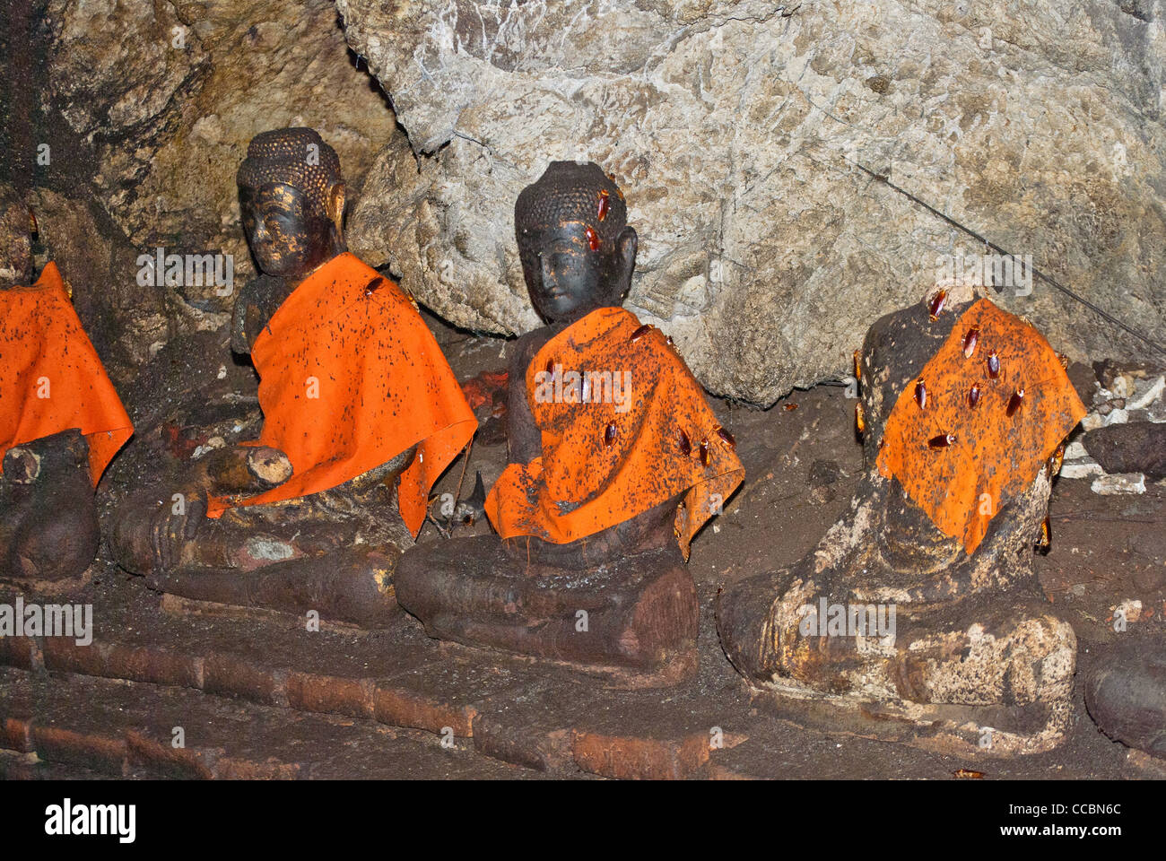 Old statues in a cave at Khao Chong Phran full with cockroaches coming ...