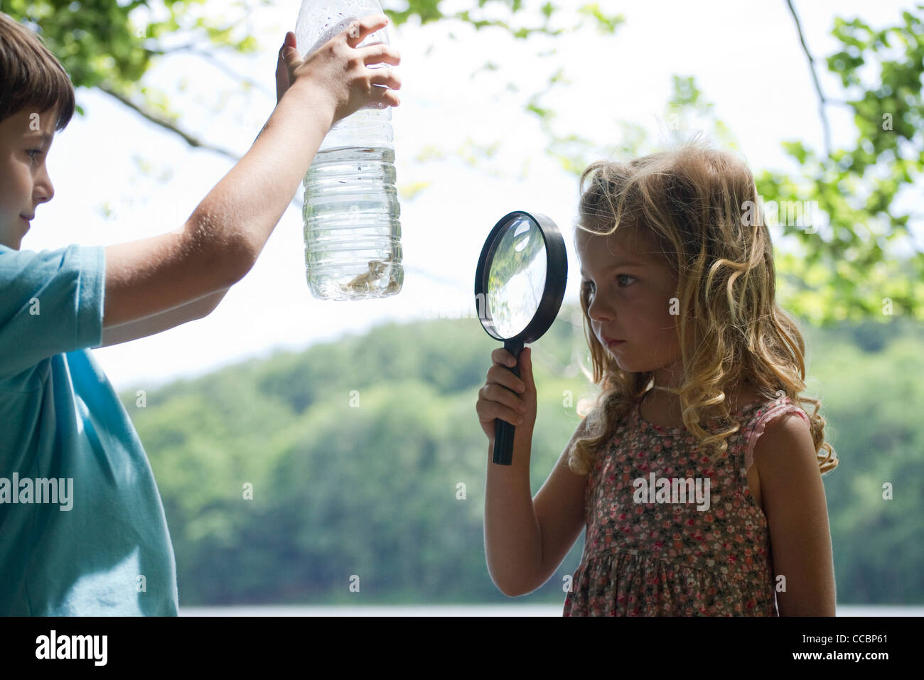 Fish in water images for kids hi-res stock photography and images - Alamy