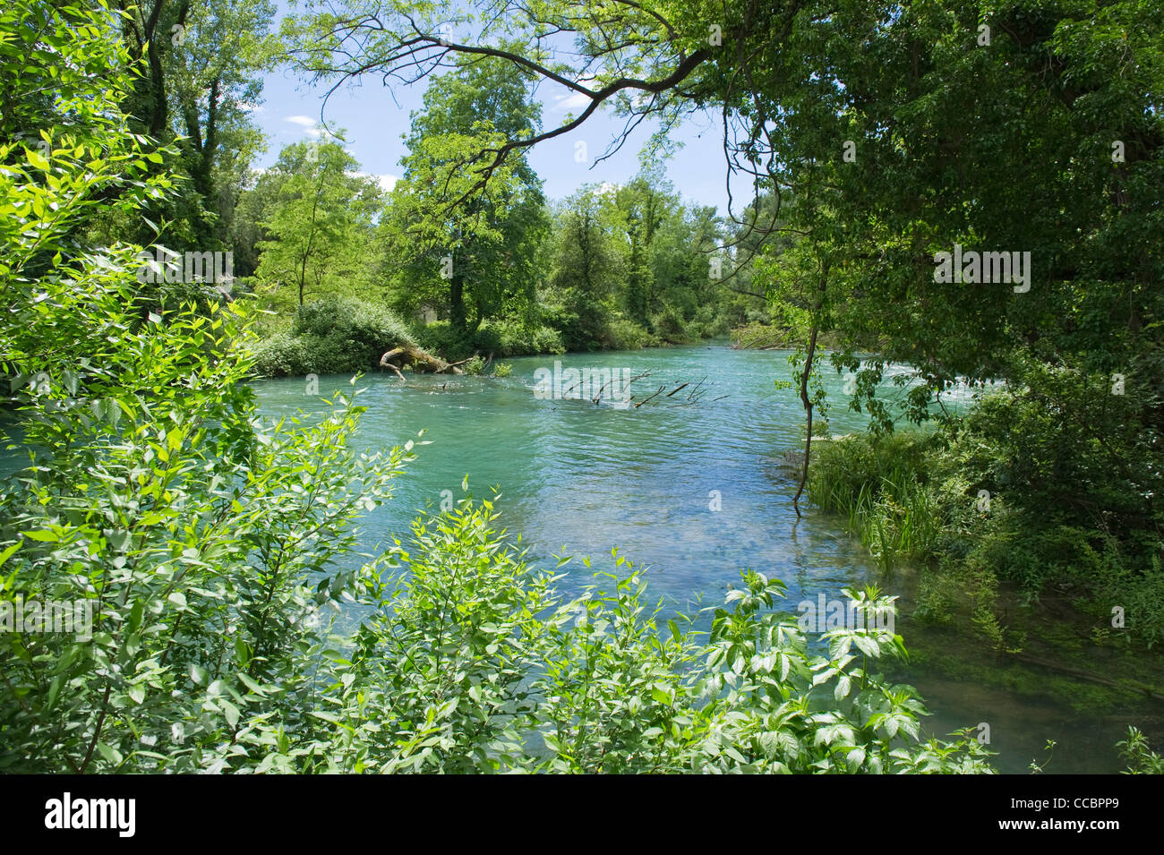 Duino timavo hi-res stock photography and images - Alamy