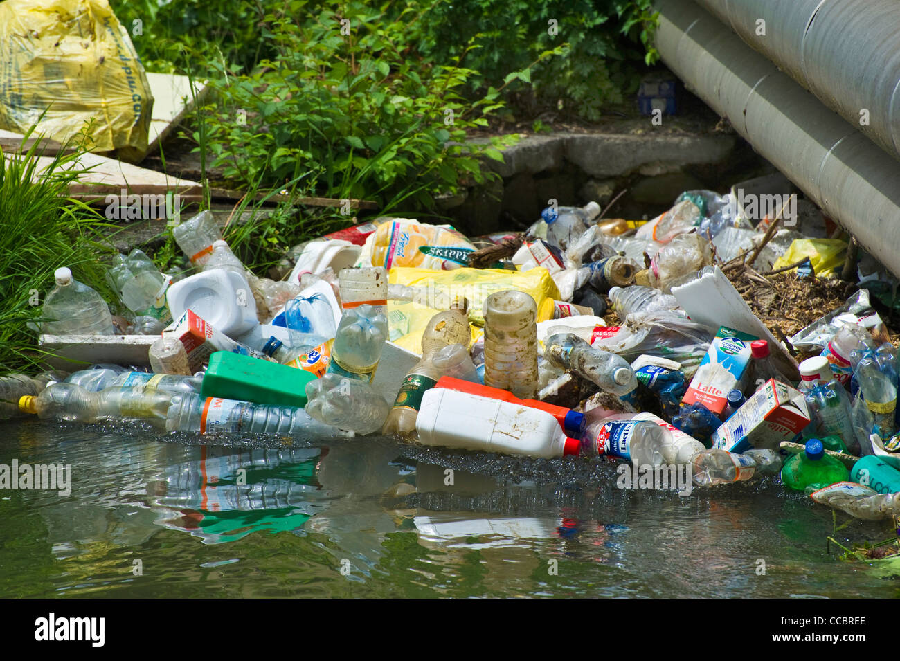 rubbish along the nesa stream, nese, italy Stock Photo - Alamy