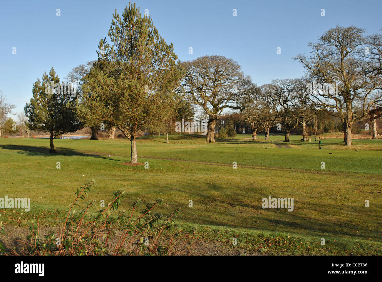 Large golf course hi-res stock photography and images - Alamy