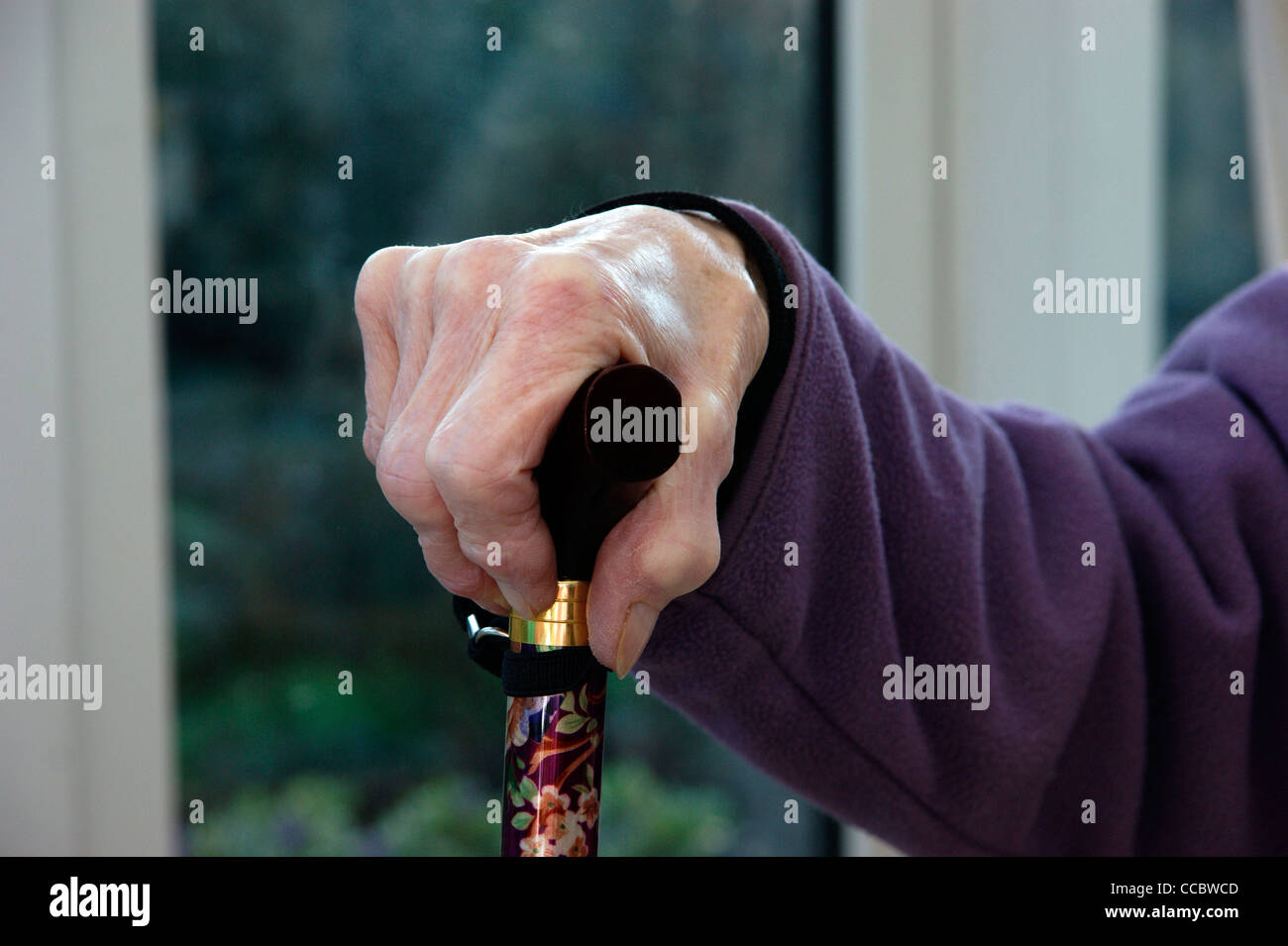 Elderly lady using walking aid hi-res stock photography and images - Alamy