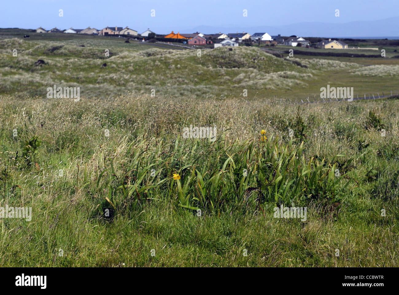 Surroundings of Streedagh, County Sligo, Border Region, Connacht ...