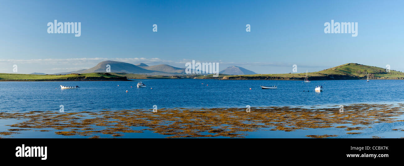 Patrick of ireland hi-res stock photography and images - Alamy