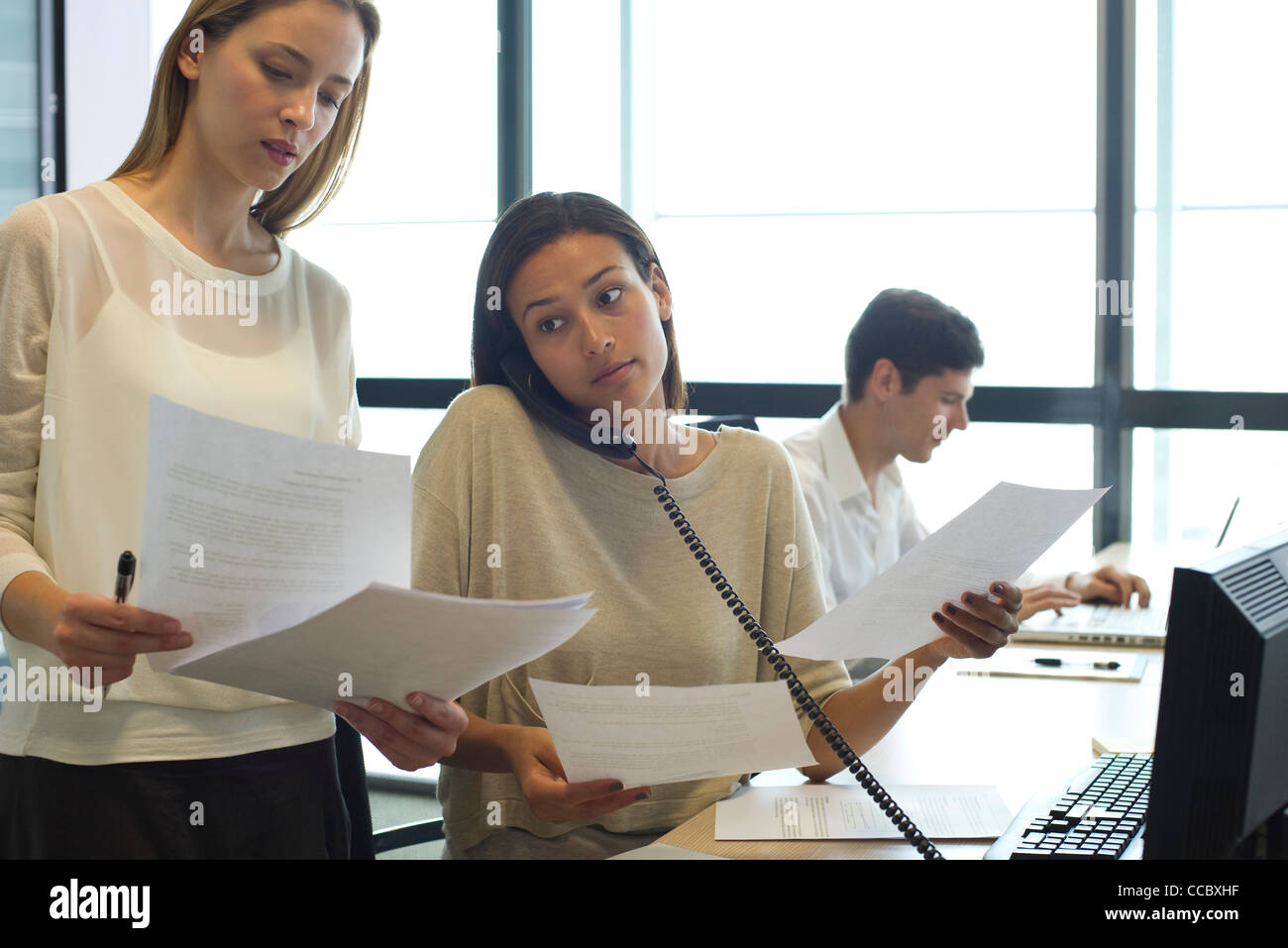 Colleagues working hard in office Stock Photo - Alamy