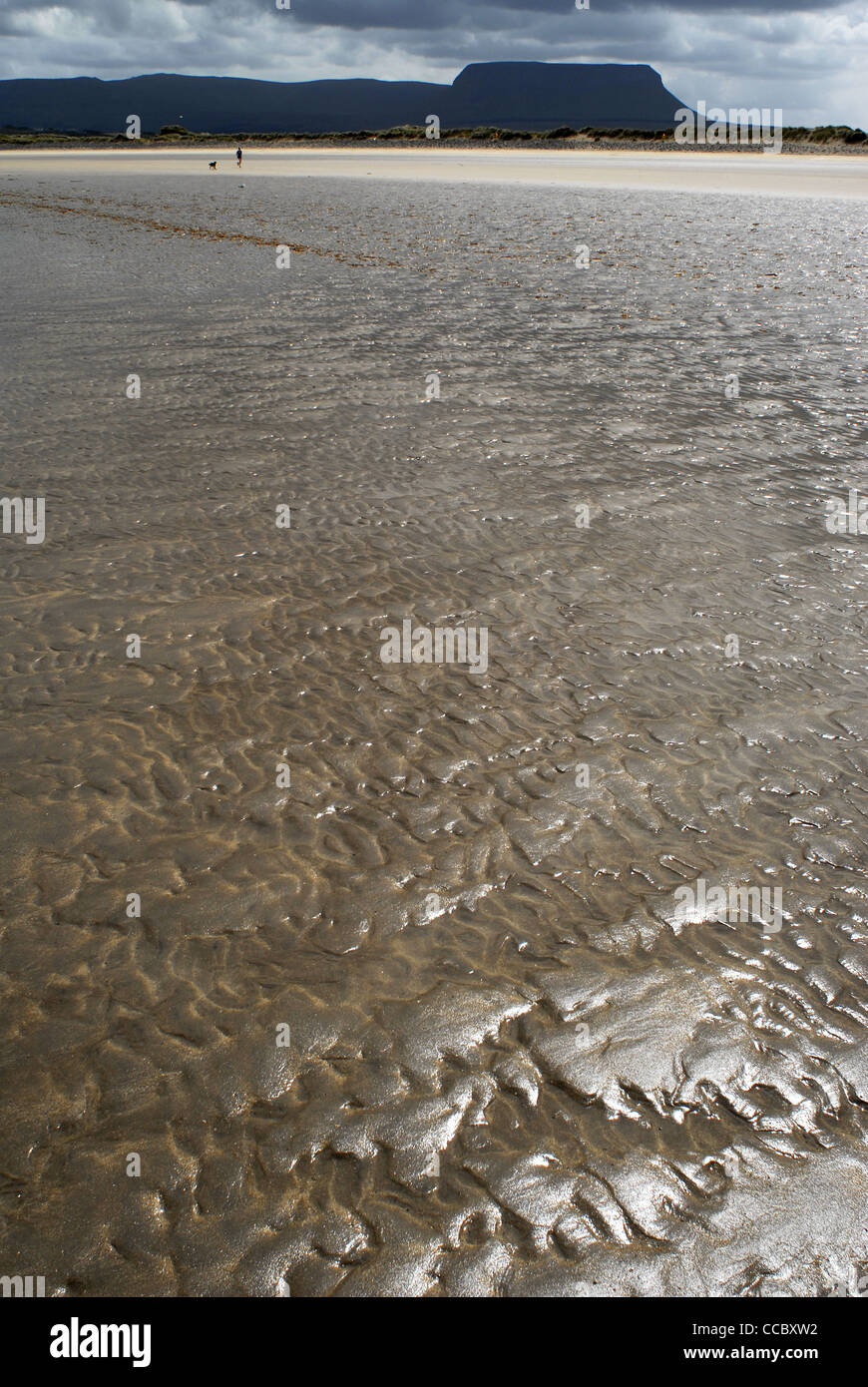 Streedagh Beach, County Sligo, Border Region, Connacht, Ireland, Europe ...