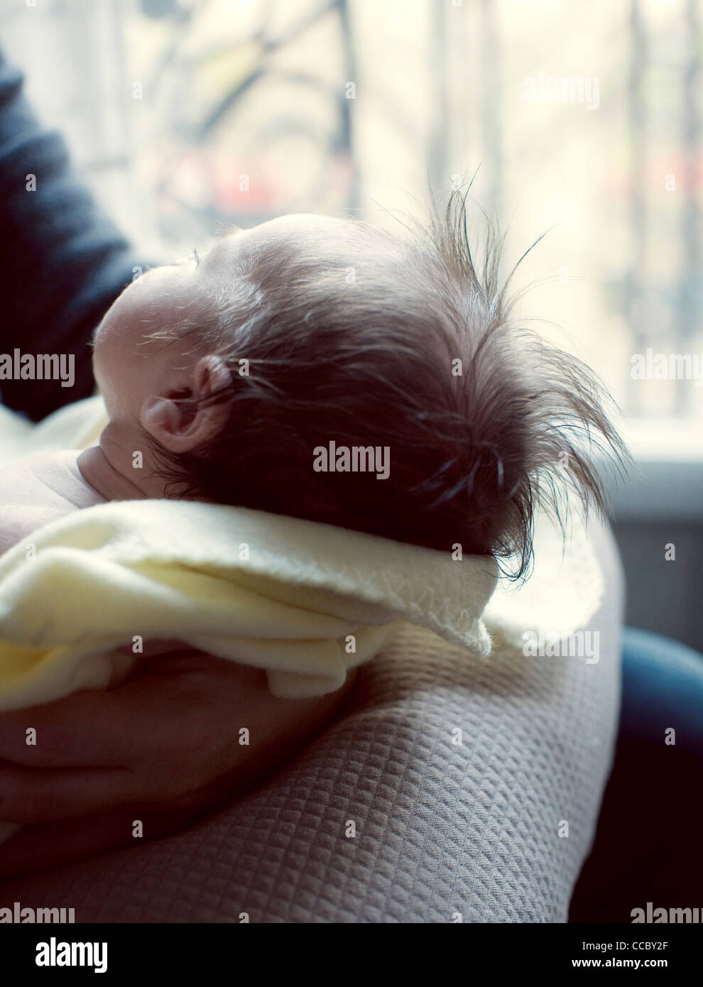 Mother holding new born baby, cropped Stock Photo - Alamy