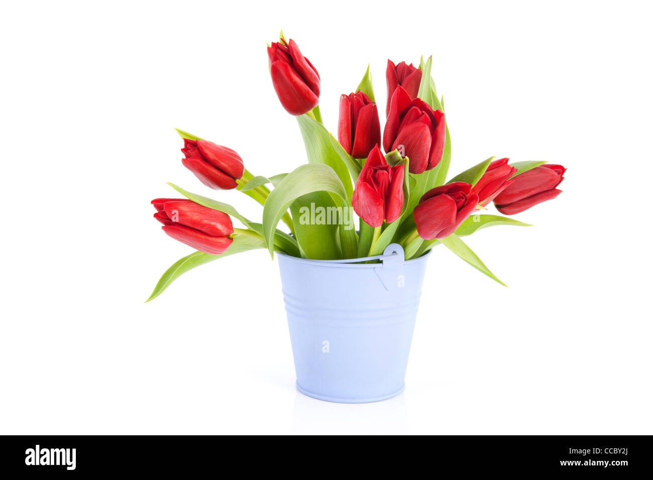 White flowers in metal bucket Cut Out Stock Images & Pictures - Alamy