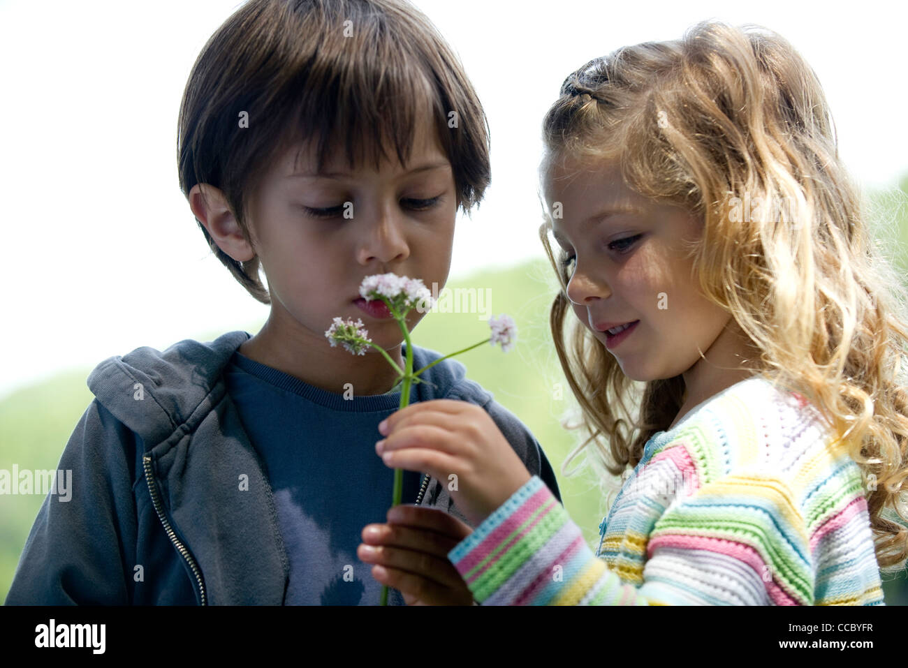 Boys in wildflowers hi-res stock photography and images - Alamy
