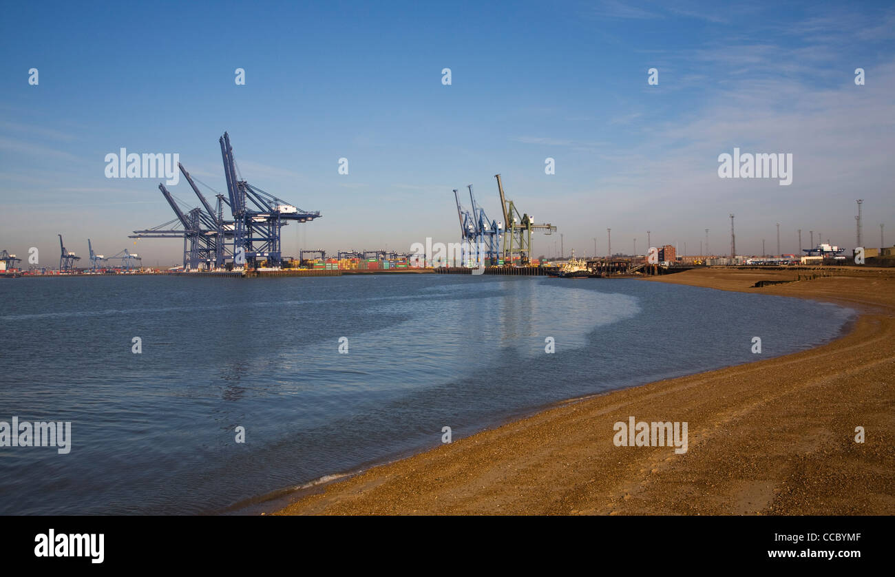Quayside container cranes Port of Felixstowe Suffolk England Stock ...