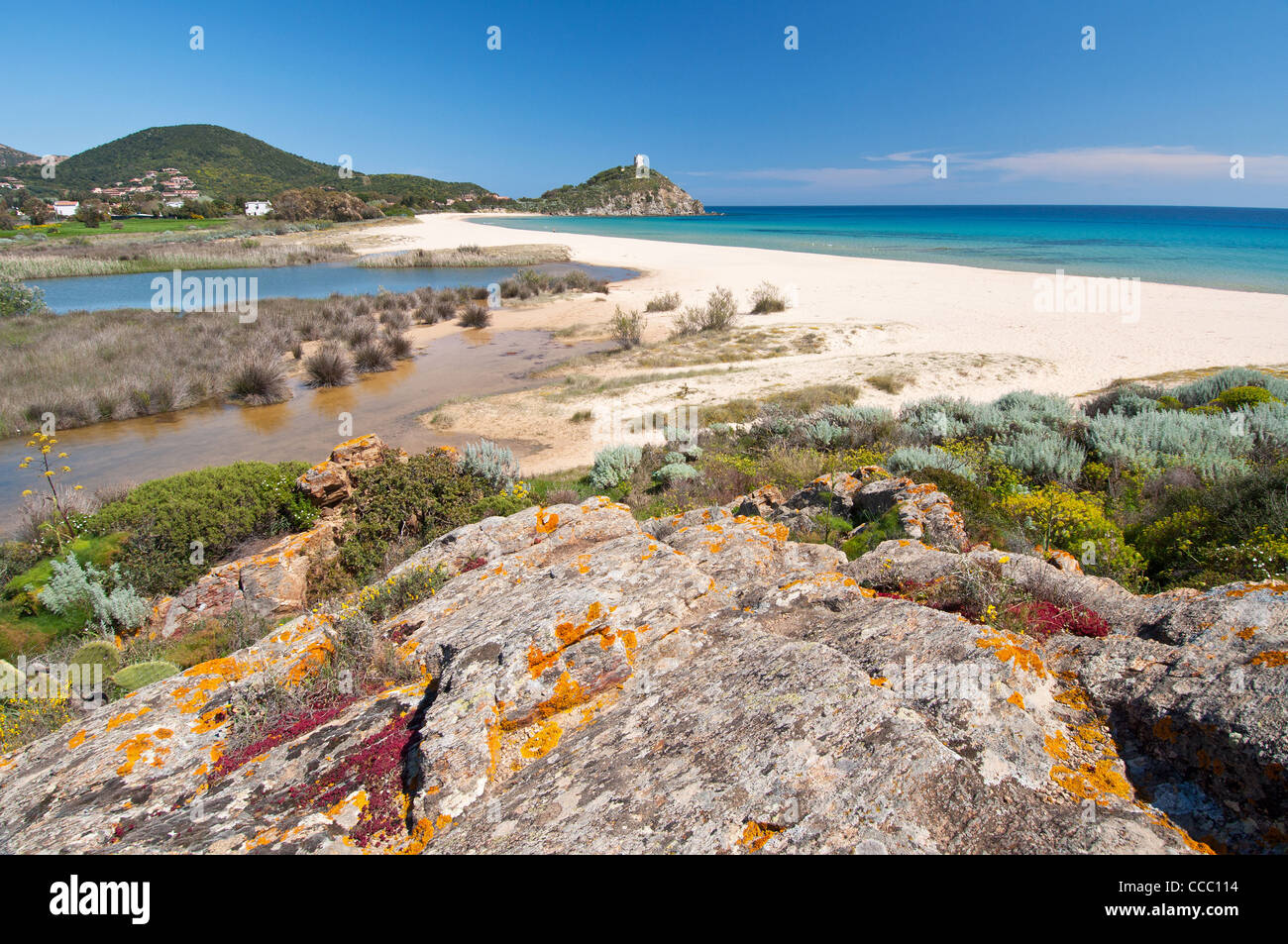 Chia sa colonia hi-res stock photography and images - Alamy