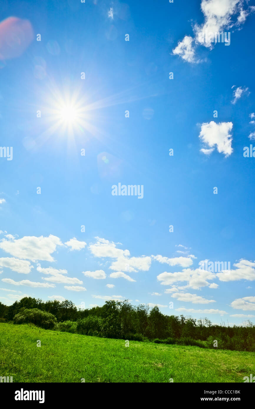 summer landscape with green field and sun Stock Photo - Alamy