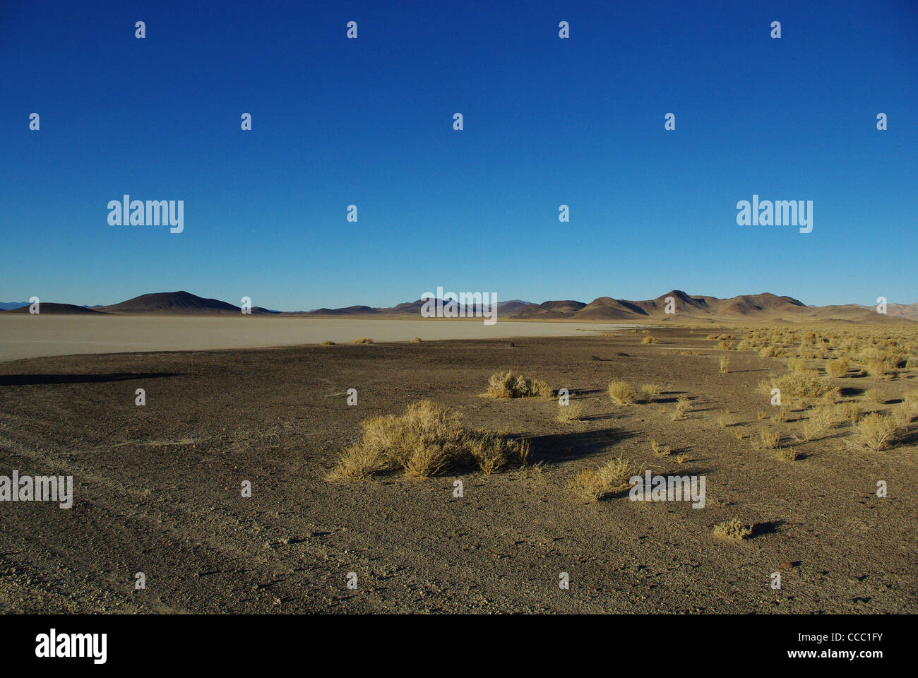 Lunar Crater, Nevada Stock Photo - Alamy