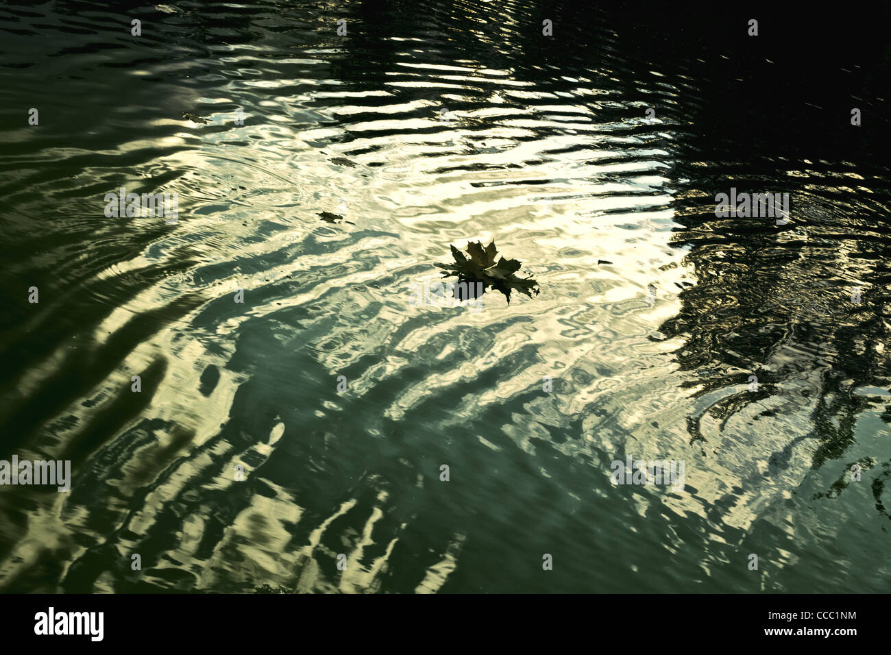 Dark water hi-res stock photography and images - Alamy