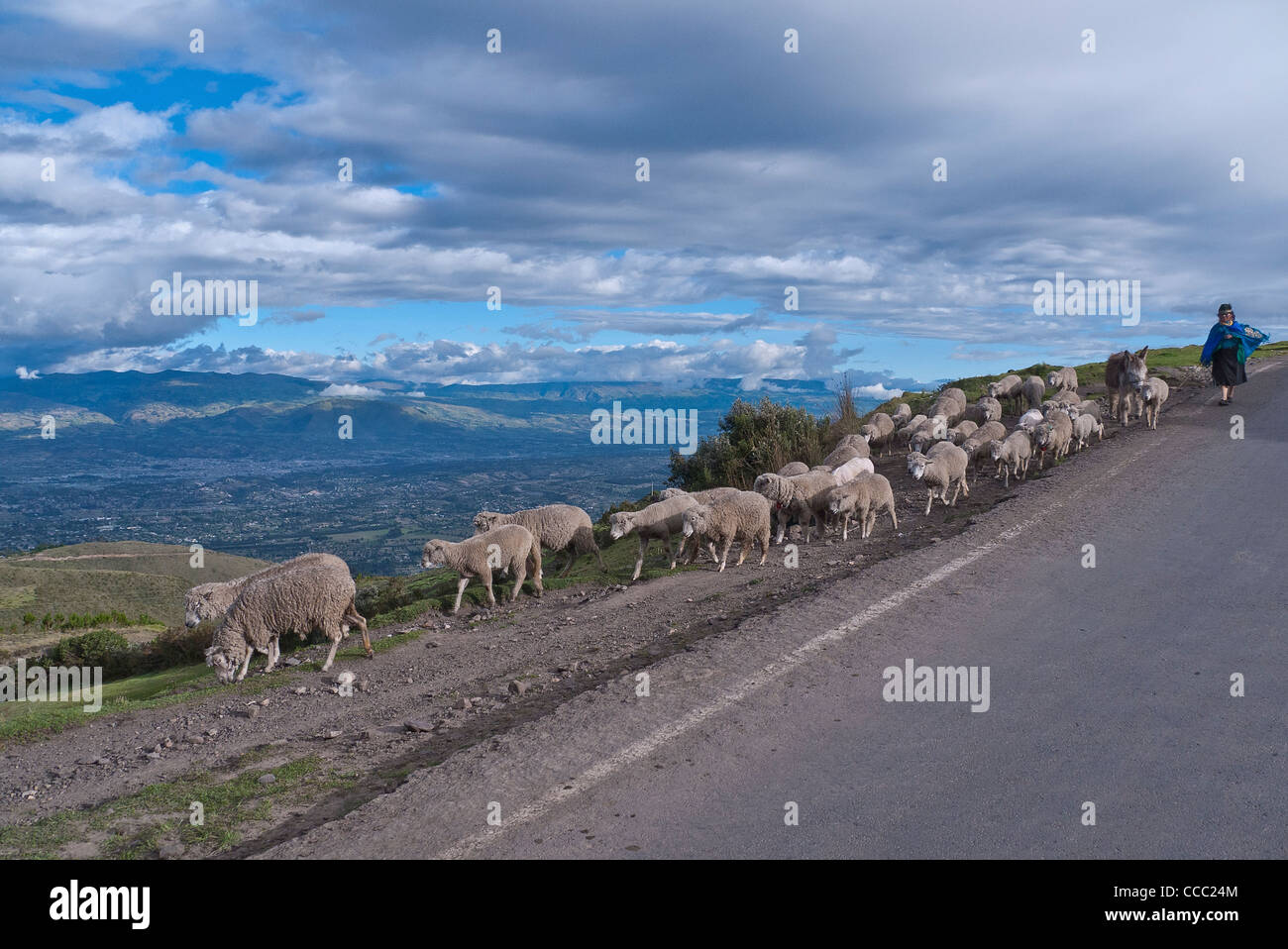 Sheepherder hi-res stock photography and images - Alamy