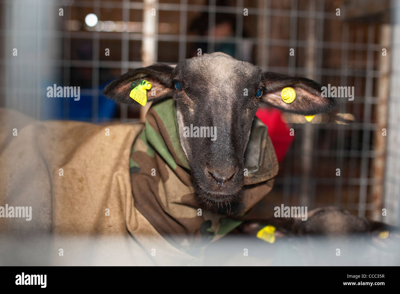 Freeze protection hi-res stock photography and images - Alamy