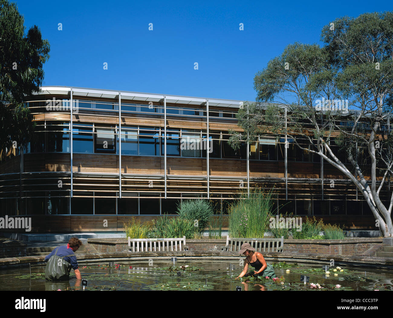 JODRELL LABORATORY EXTENSION, WILKINSON EYRE ARCHITECTS, KEW, UNITED ...