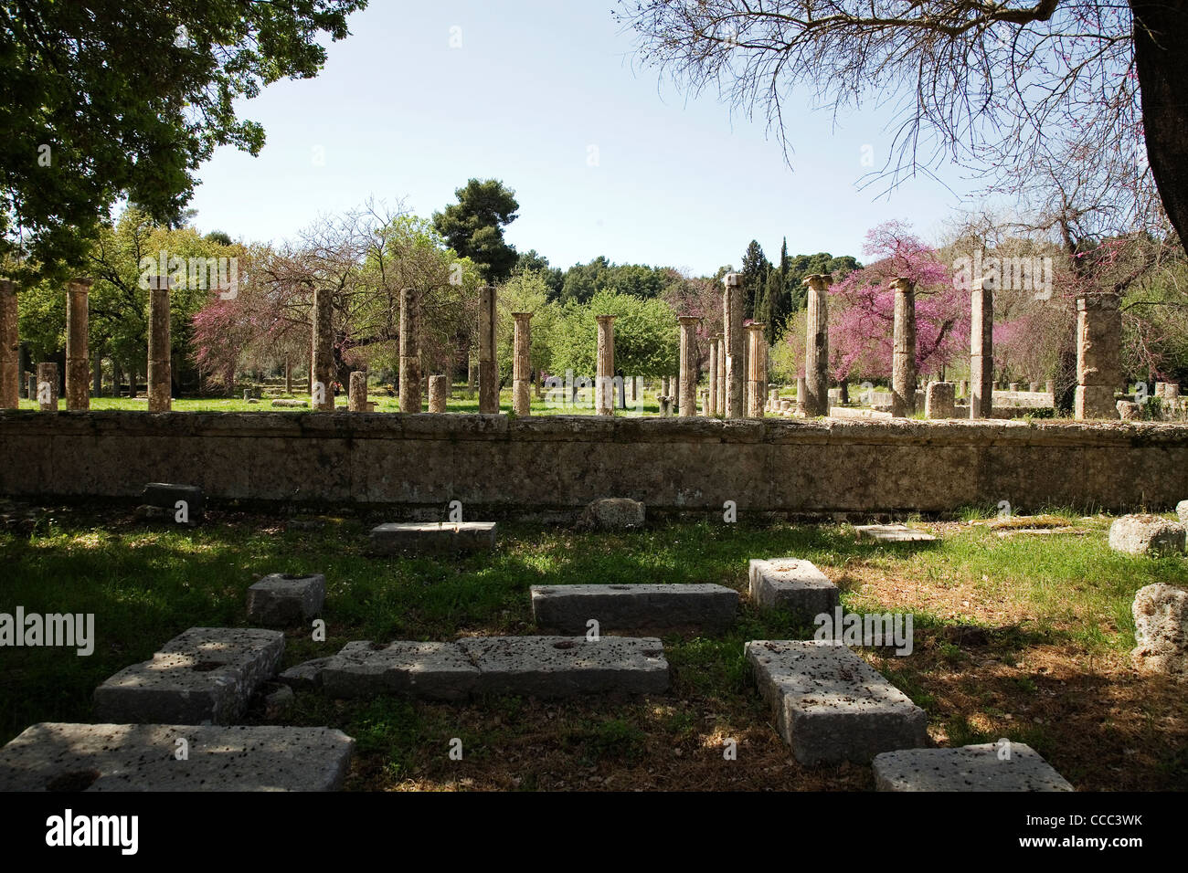 Altis hi-res stock photography and images - Alamy