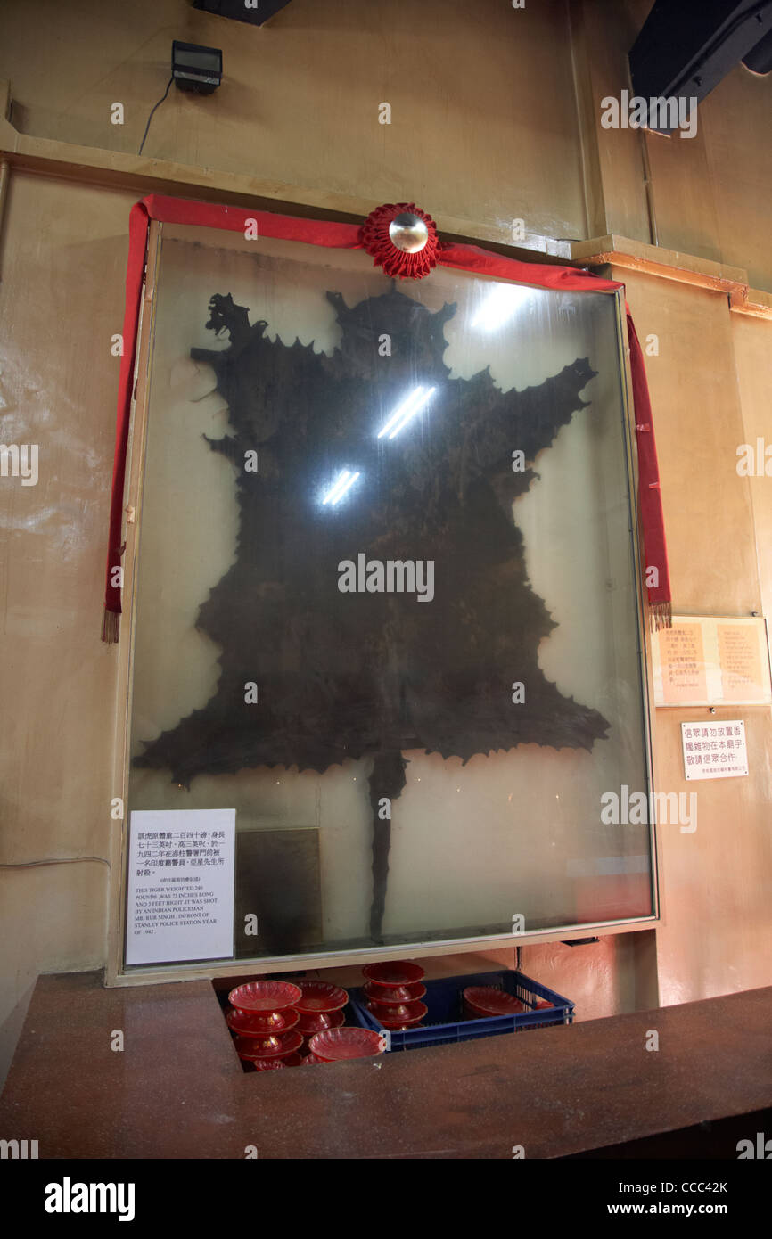 tiger skin hanging on the wall of tin hau temple stanley hong kong ...