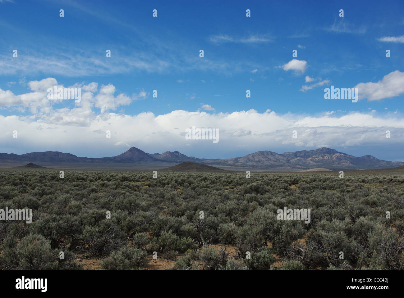 Pioche nevada hi-res stock photography and images - Alamy
